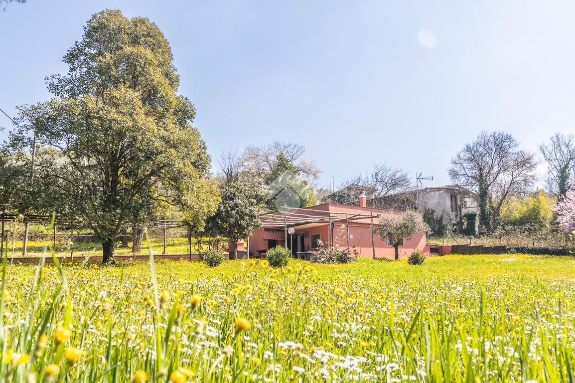 Rustico in vendita a Frascati