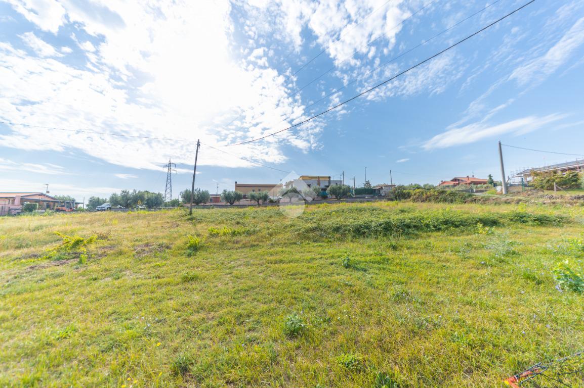 Terreno agricolo in vendita a Frascati