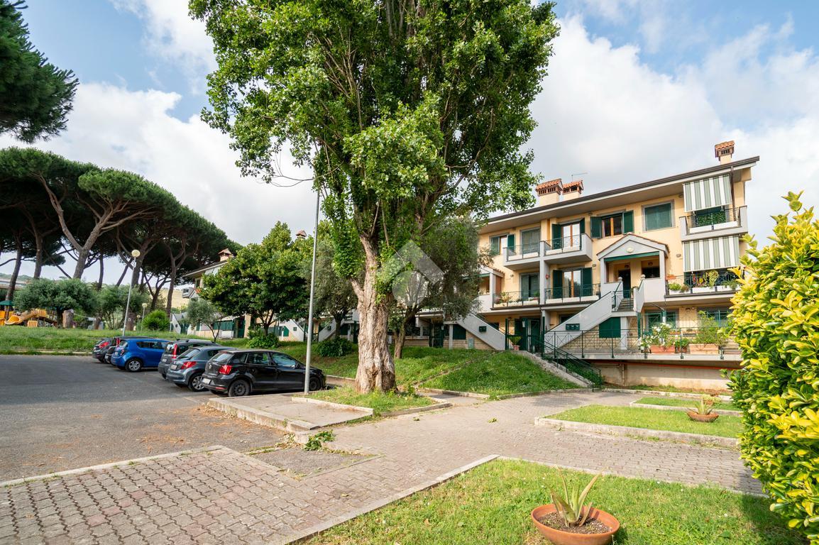 Appartamento in vendita a Grottaferrata