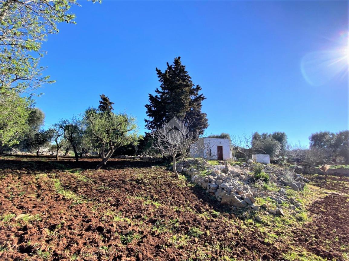 Casa indipendente in vendita a Ostuni