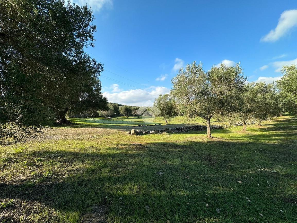 Terreno edificabile in vendita a Ostuni
