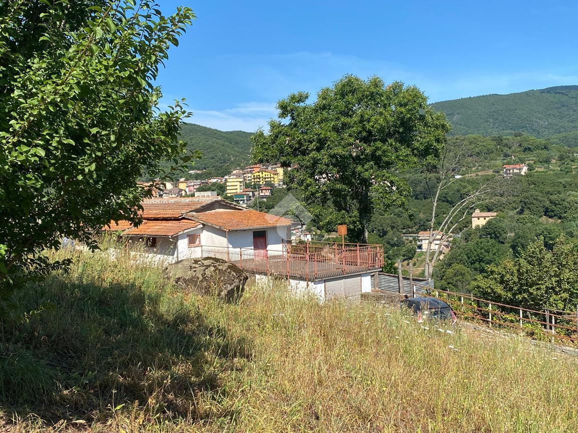 Casa indipendente in vendita a Canepina