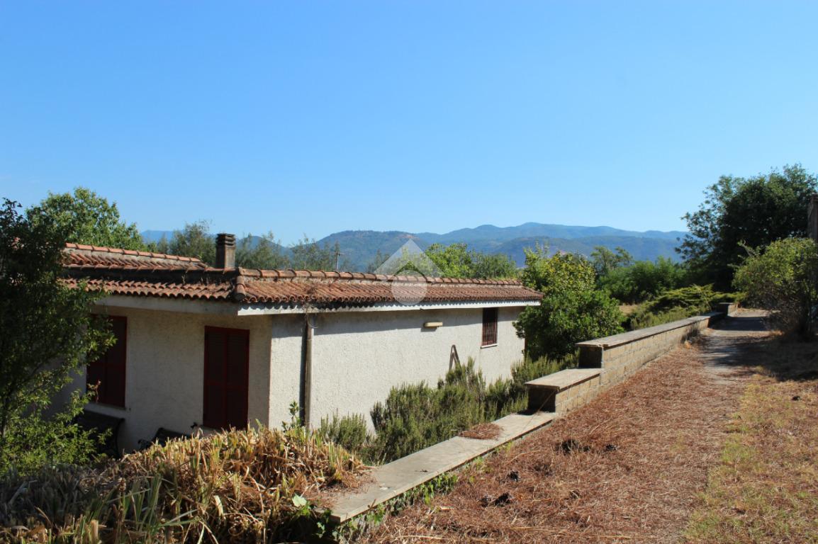 Casa indipendente in vendita a Paliano