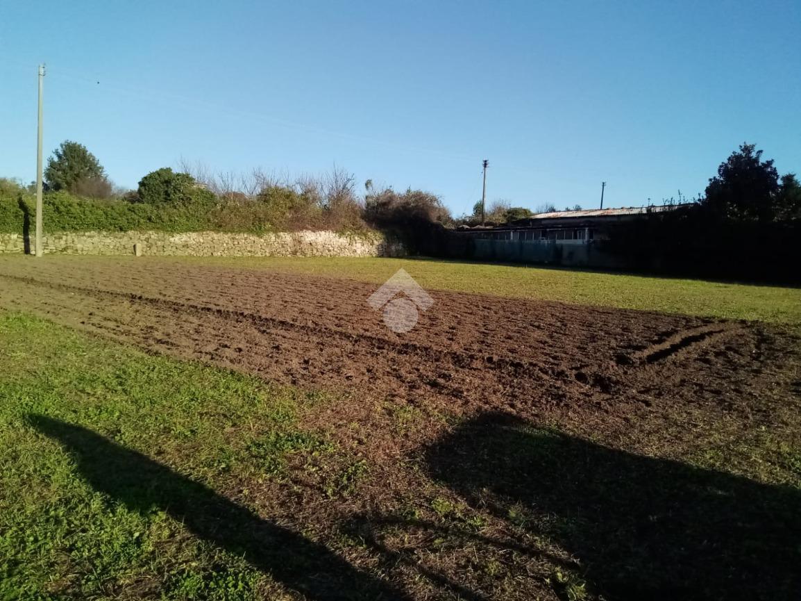 Terreno agricolo in Via Colonnelle, Albano Laziale