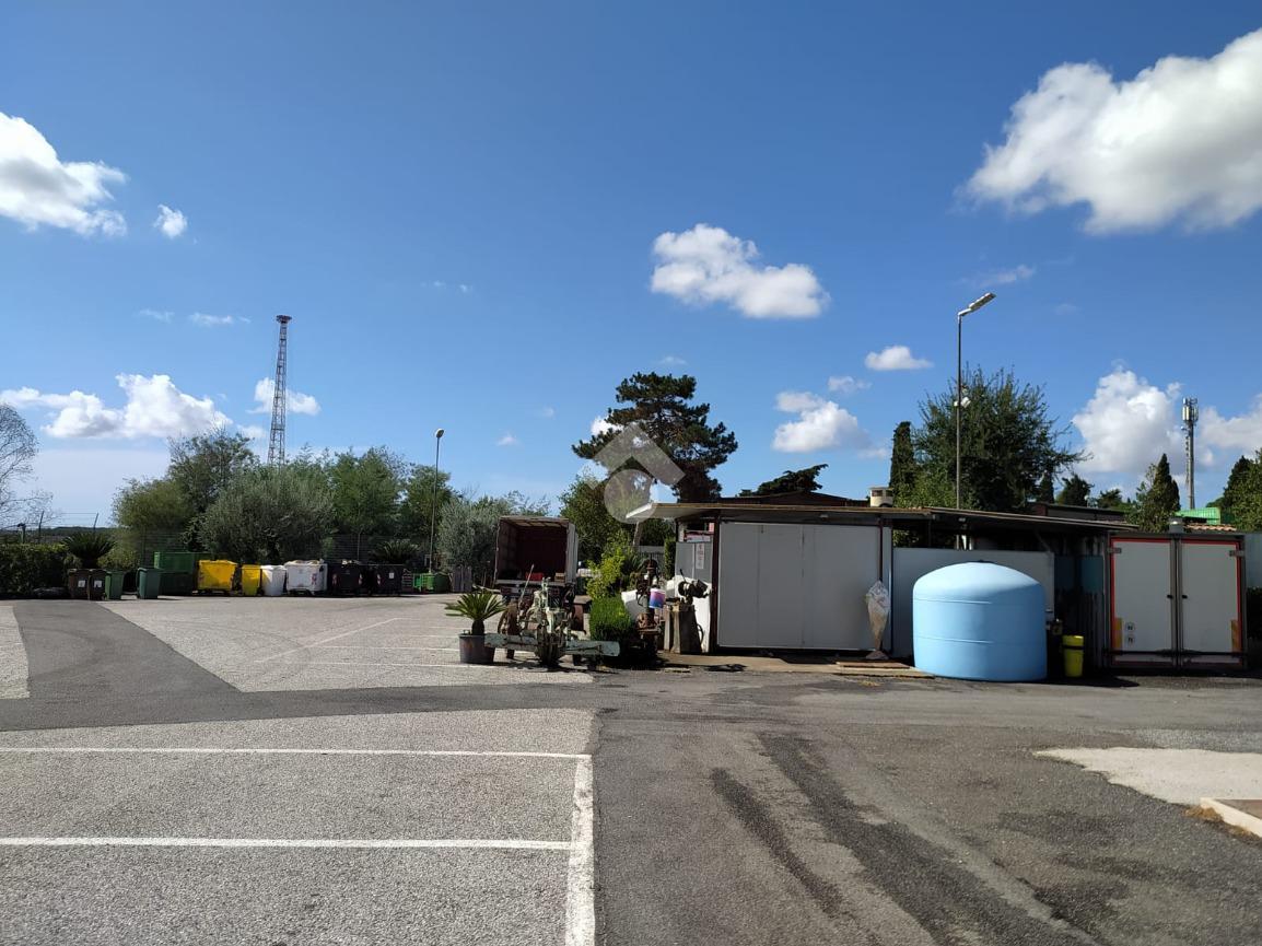 Negozio in affitto a Pomezia