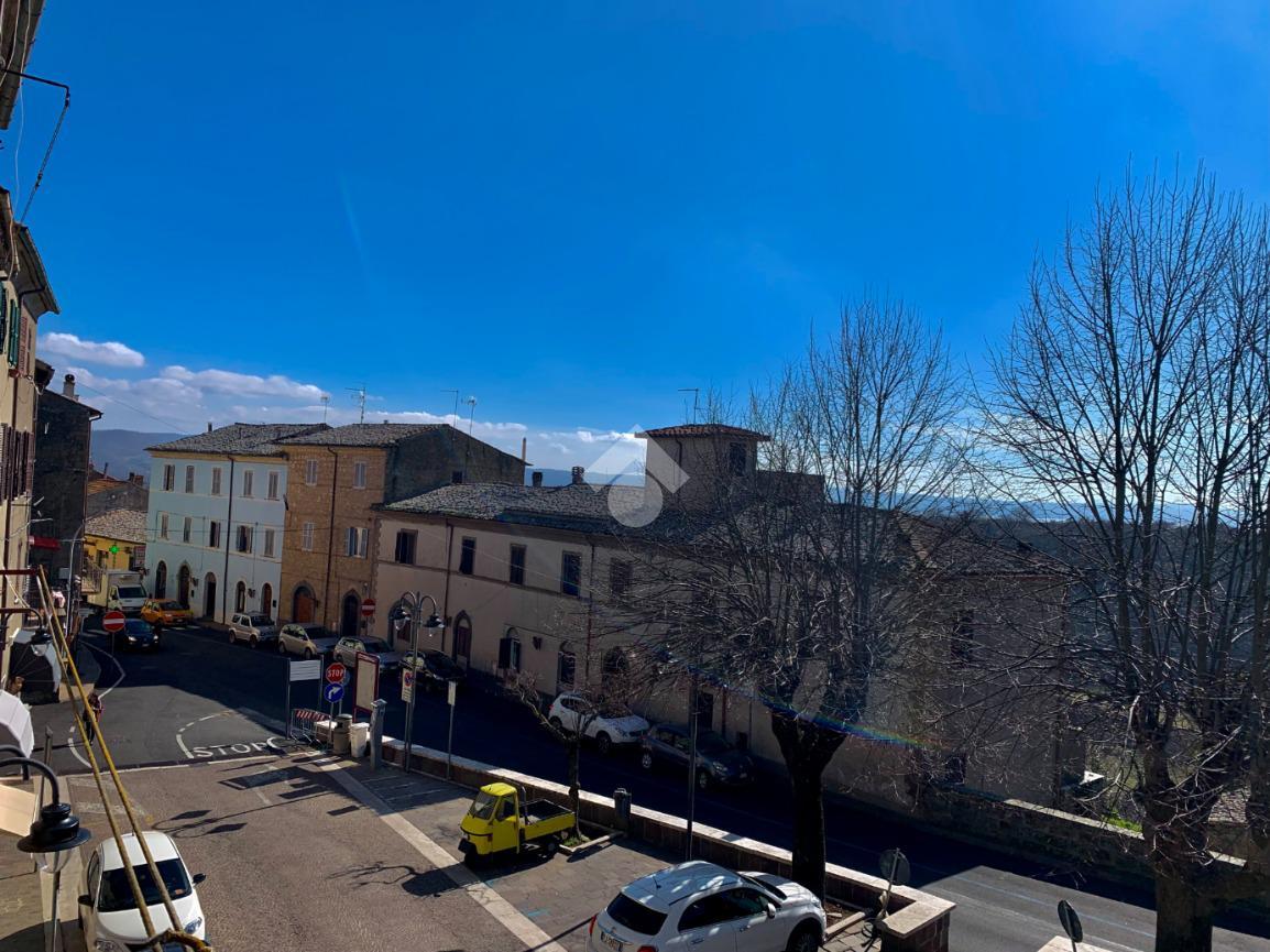 Appartamento in vendita a Grotte Di Castro