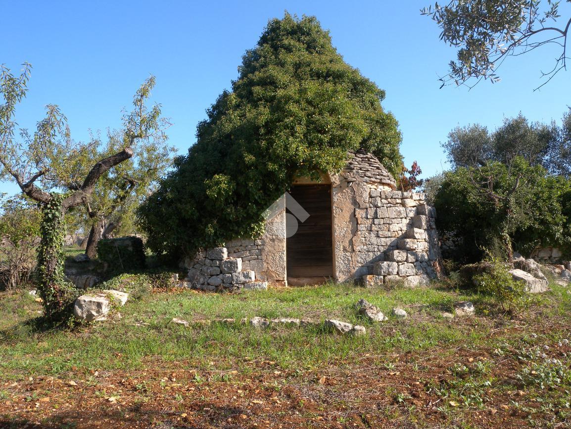 Casa indipendente in vendita a Castellana Grotte