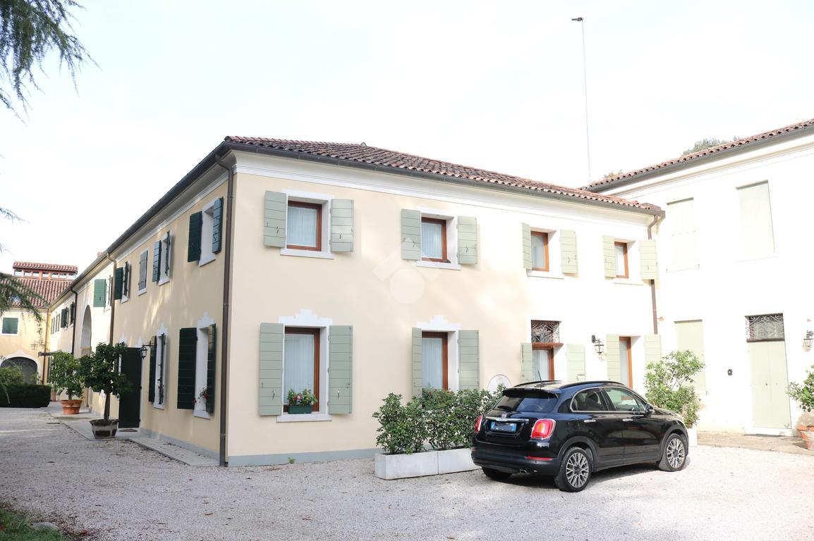 Appartamento in affitto a Spinea