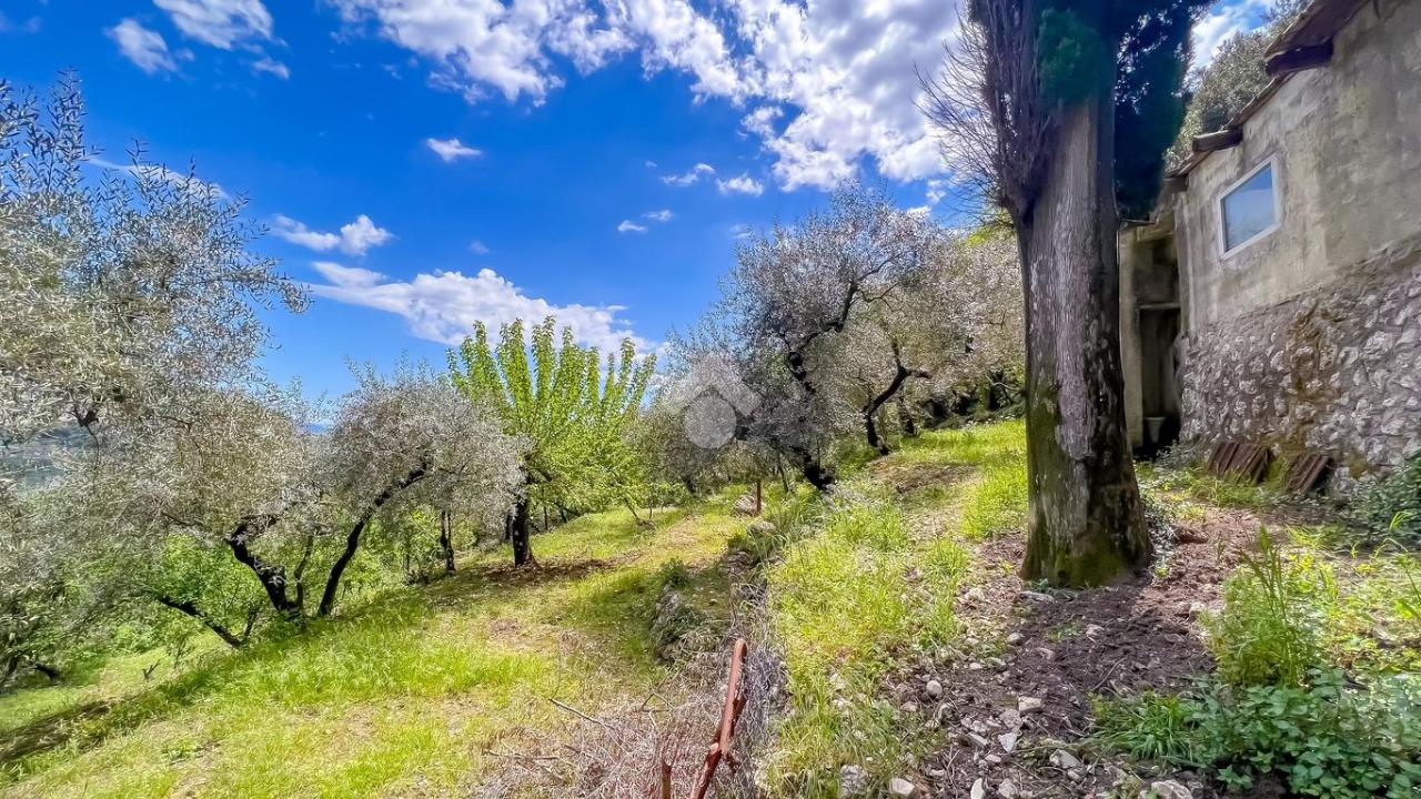 Terreno agricolo in vendita a Formia