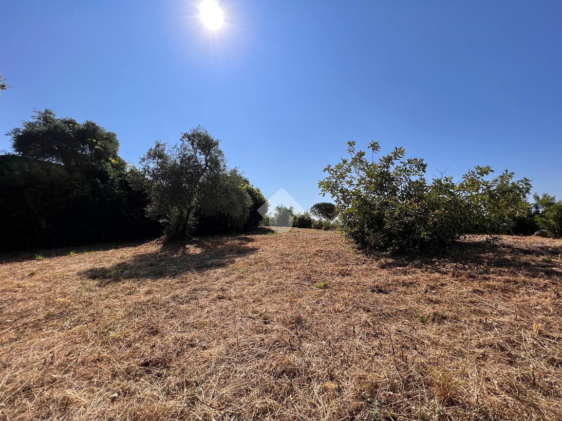 Rustico in vendita a Formia Foto-23