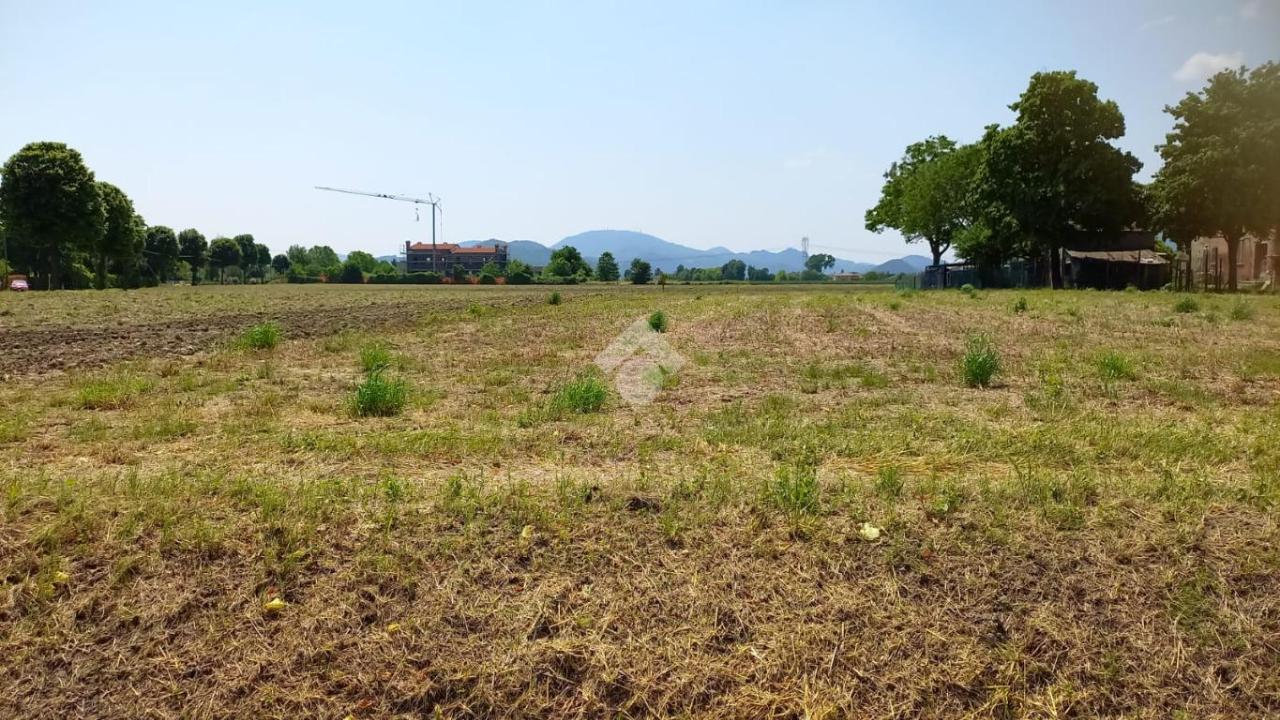 Terreno edificabile in vendita a Saccolongo