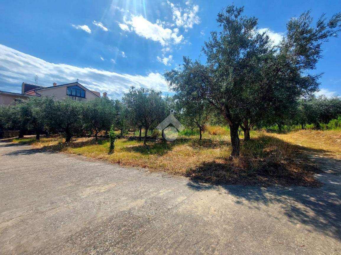 Villa in vendita a Strongoli Foto-12