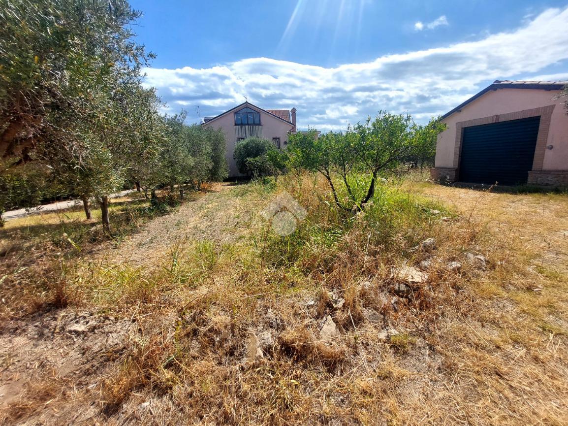 Villa in vendita a Strongoli Foto-11