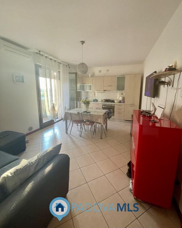 Appartamento in vendita a Mestrino