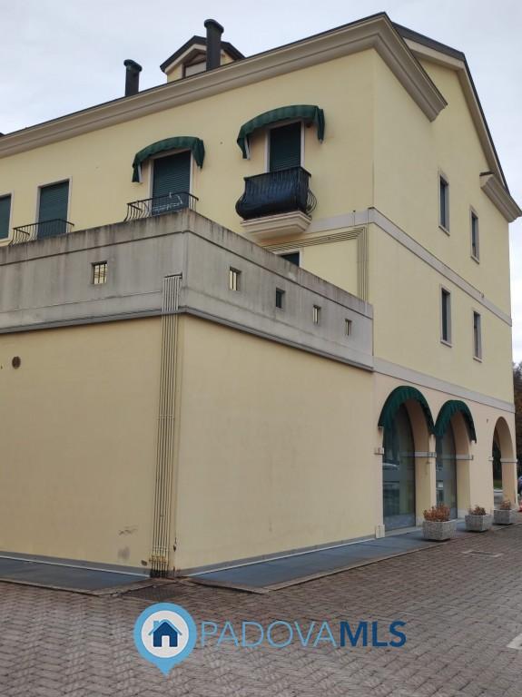 Appartamento in vendita a Saccolongo