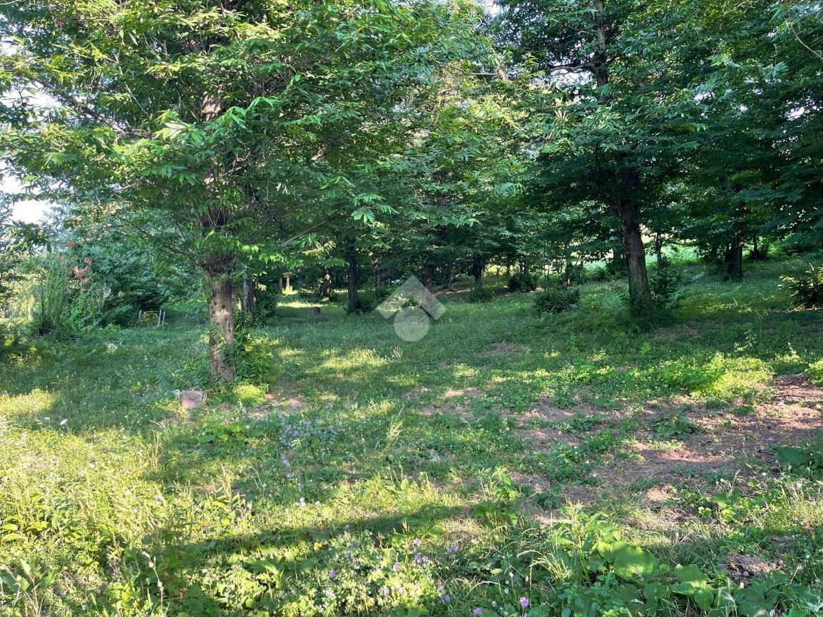 Terreno agricolo in vendita a Rotondi