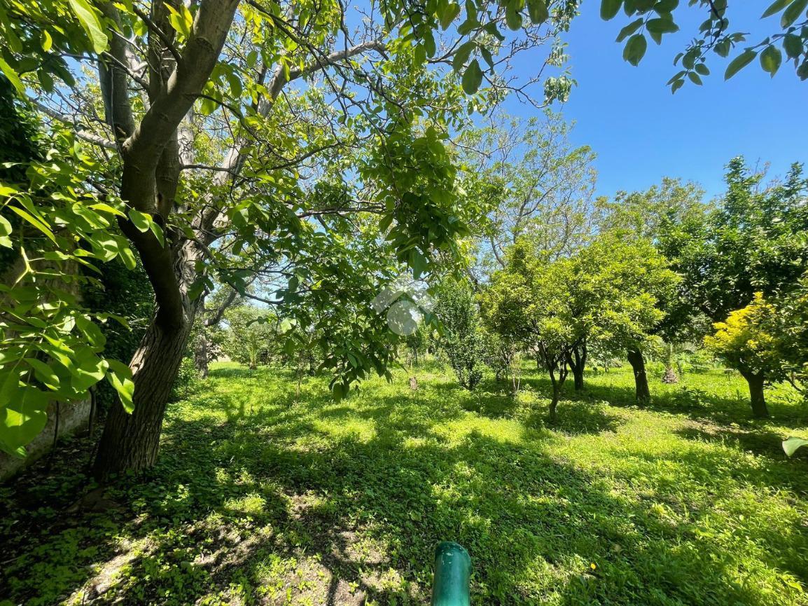 Appartamento in vendita a Cicciano