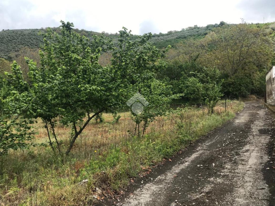 Terreno edificabile in vendita a Nola