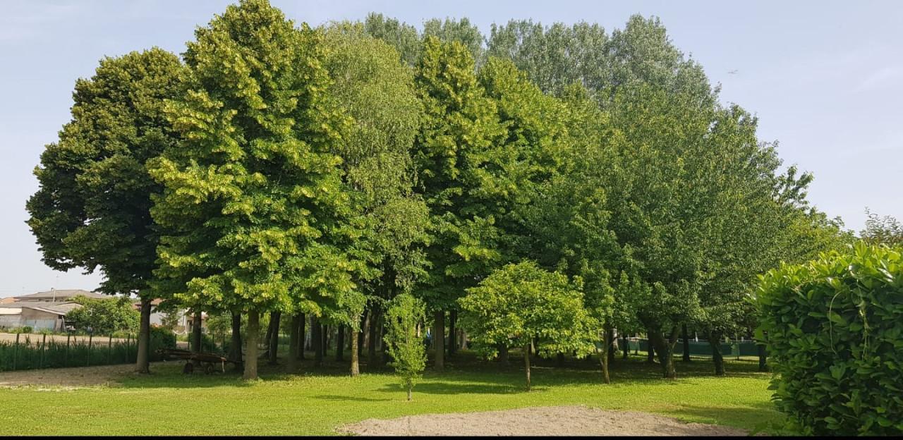 Villa in vendita a Legnaro