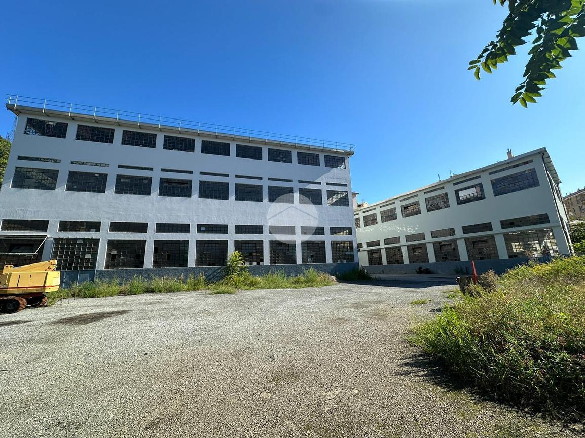 Capannone in affitto a Genova