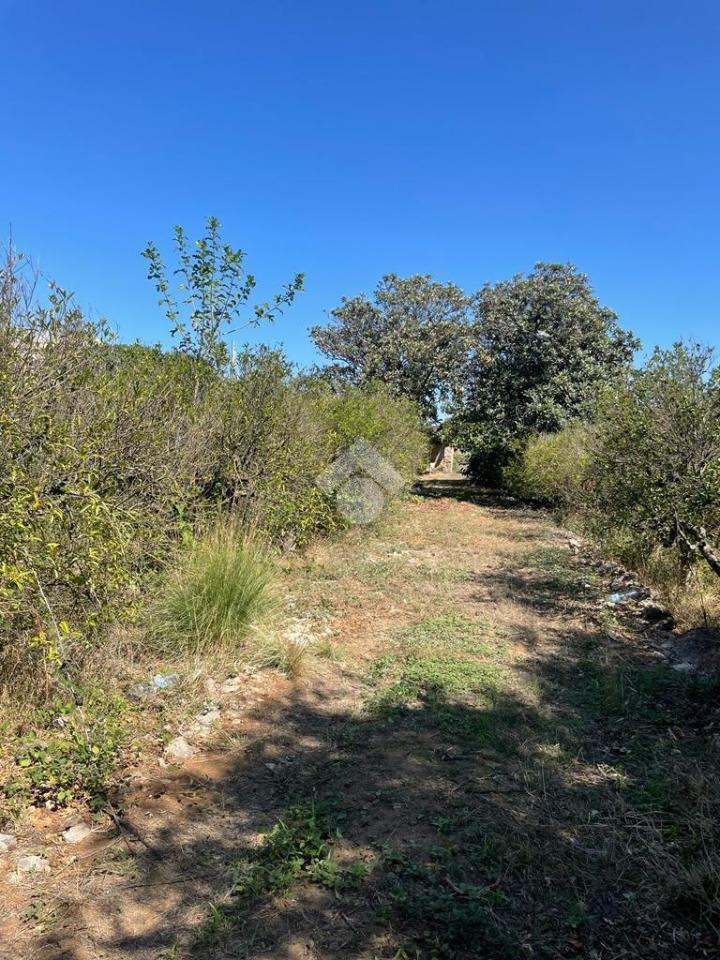 Terreno agricolo in vendita a Palermo