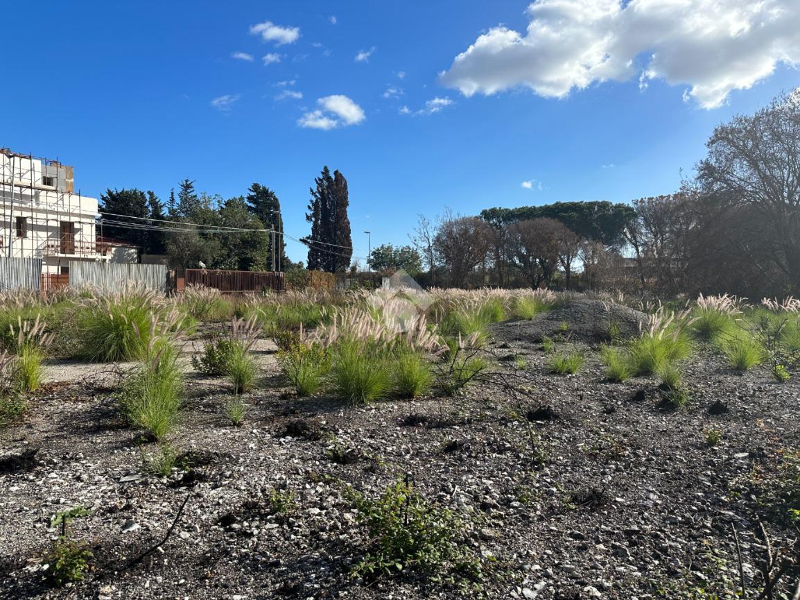 Terreno agricolo in affitto a Palermo