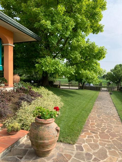 Villa in vendita a San Giorgio Delle Pertiche