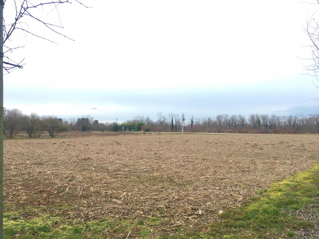 Terreno agricolo in vendita a Campo San Martino