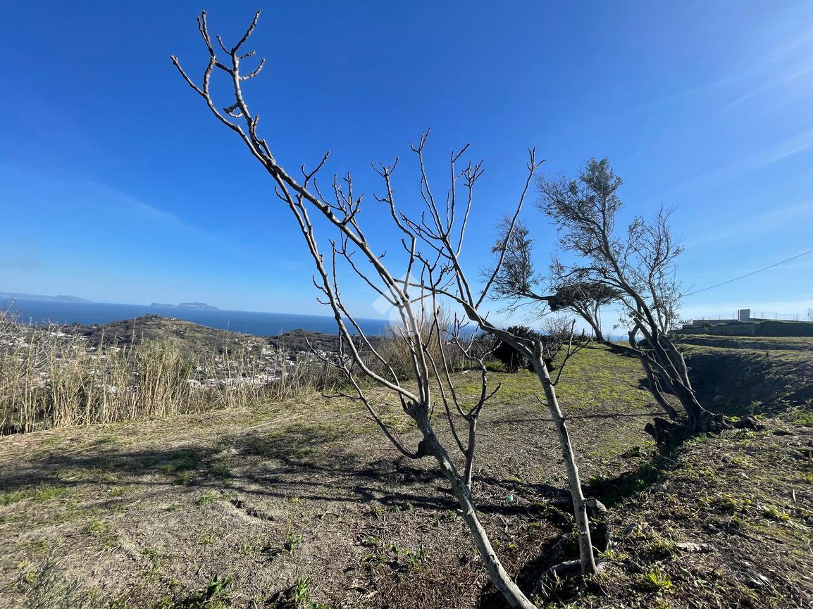 Terreno edificabile in vendita a Barano D'Ischia