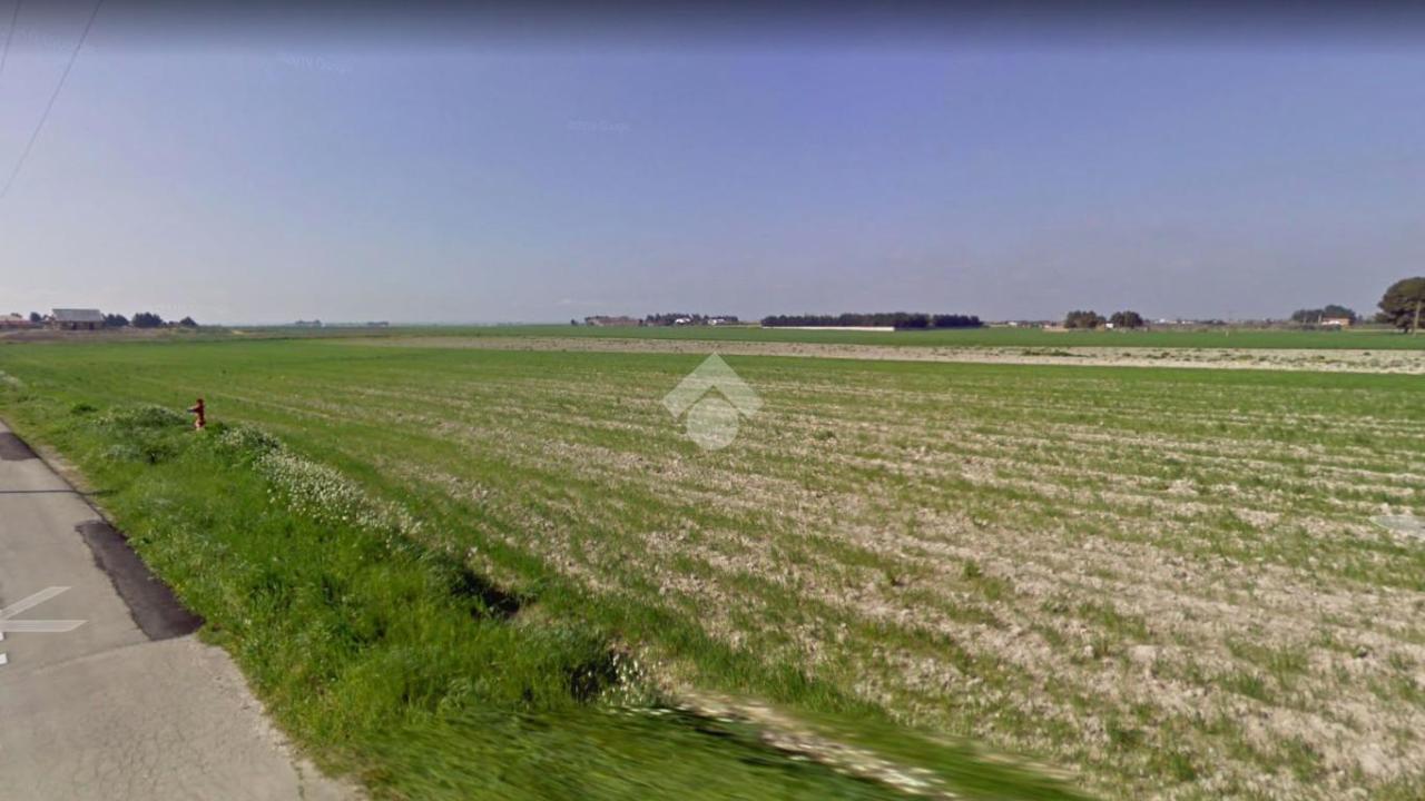 Terreno agricolo in vendita a Foggia