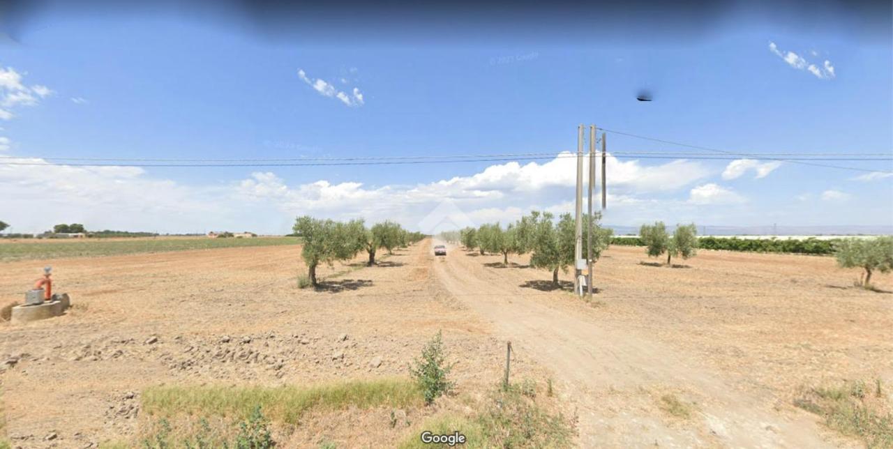 Terreno agricolo in vendita a Foggia