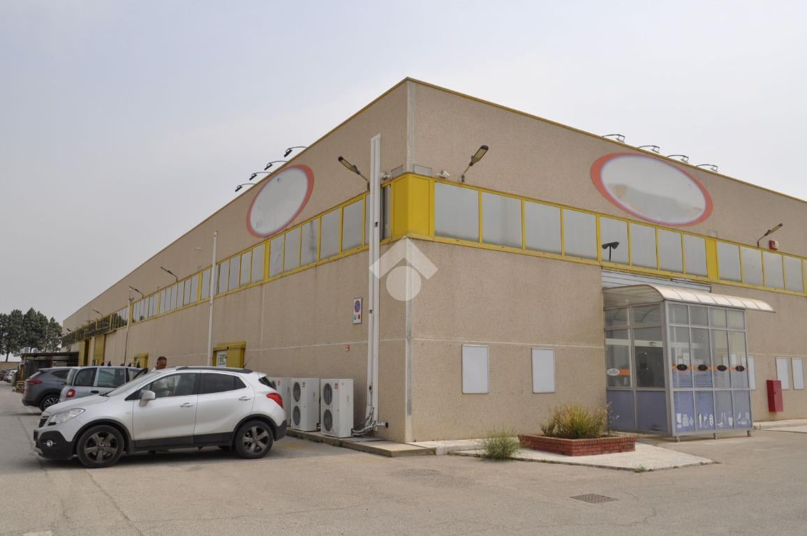 Negozio in affitto a Foggia