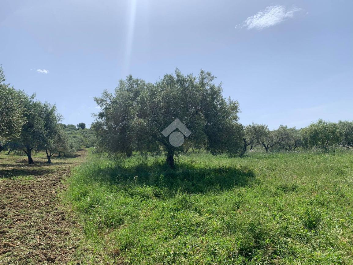 Terreno edificabile in vendita a Casteldaccia