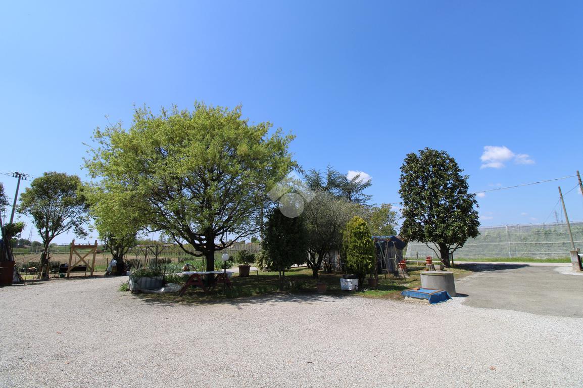 Casa indipendente in vendita a Cotignola