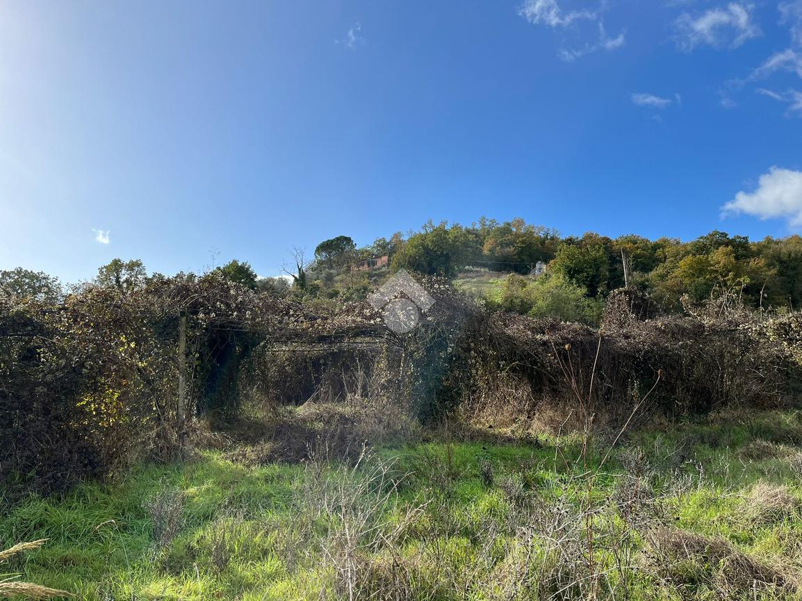 Terreno agricolo in vendita a Bomarzo