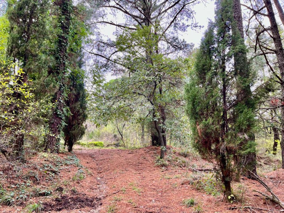 Rustico in vendita a Soriano Nel Cimino
