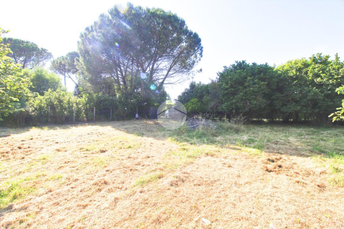 Rustico in vendita a Nepi