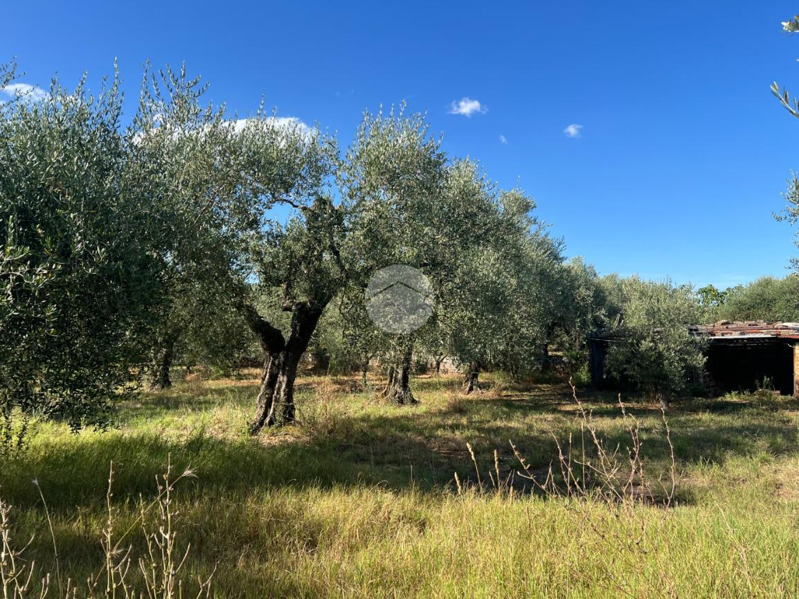Casa indipendente in vendita a Castel Sant'Elia