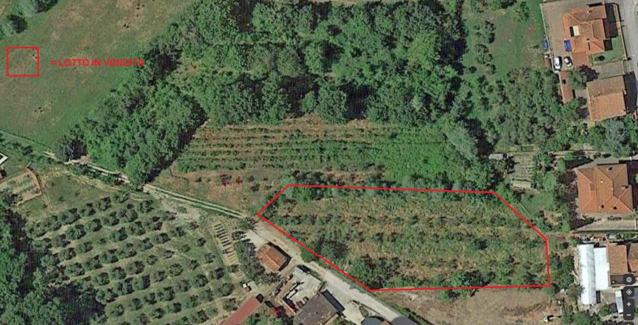 Terreno edificabile residenziale in vendita a Torrita Di Siena