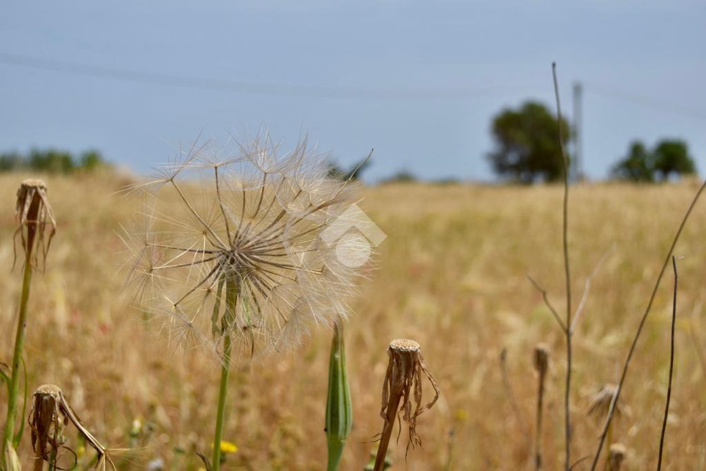 Terreno edificabile in vendita a Monopoli
