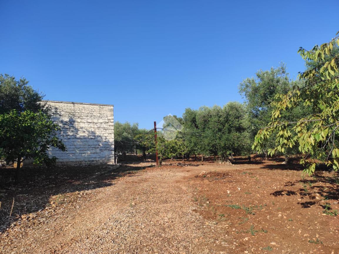 Terreno edificabile in vendita a Monopoli