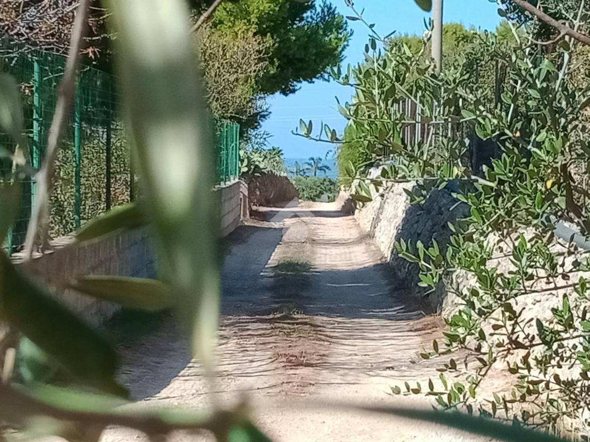 Terreno agricolo in Contrada Torre Incina, Monopoli