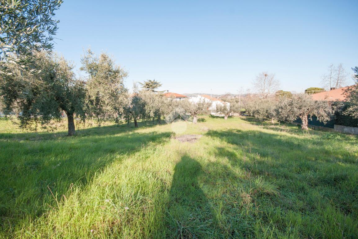Terreno edificabile in vendita a Roseto Degli Abruzzi