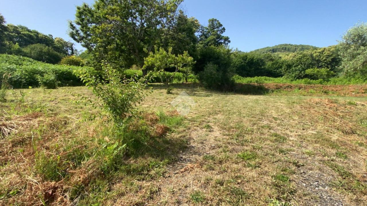 Terreno edificabile in vendita a Rocca Priora