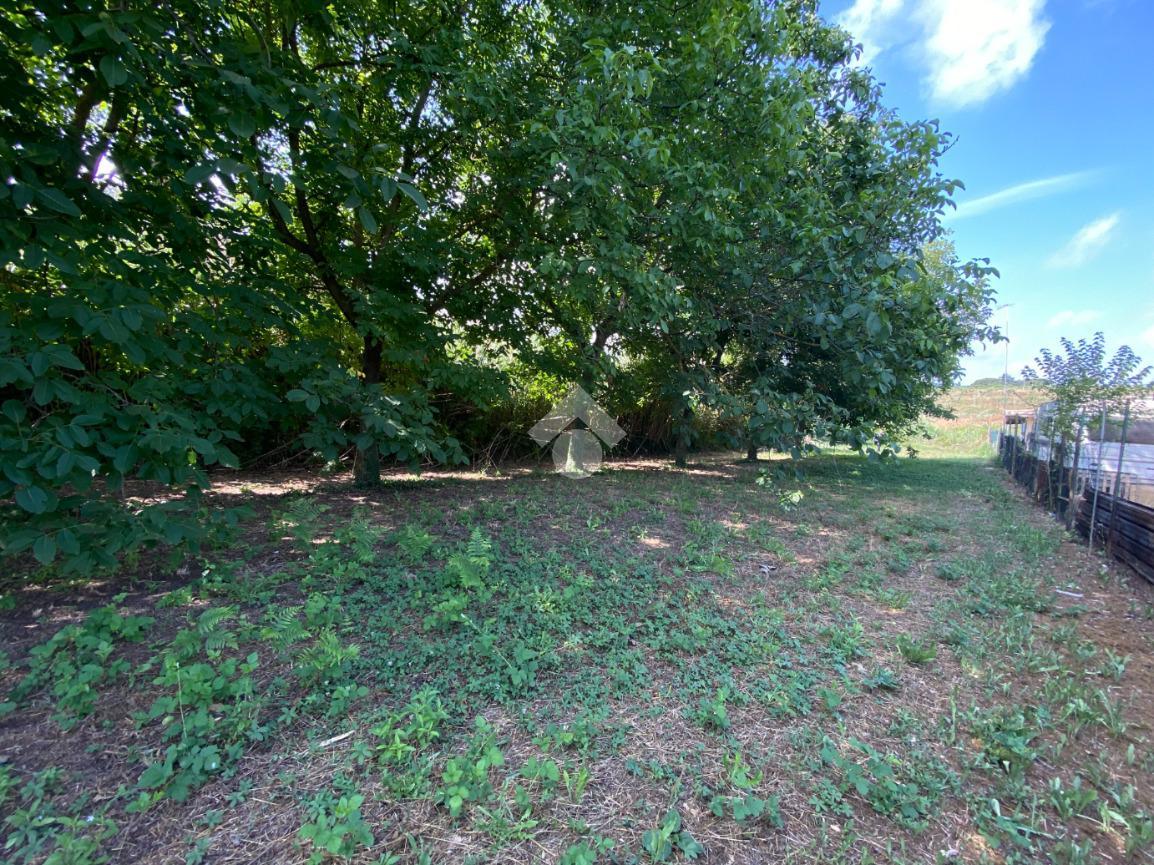 Terreno edificabile in vendita a Colonna