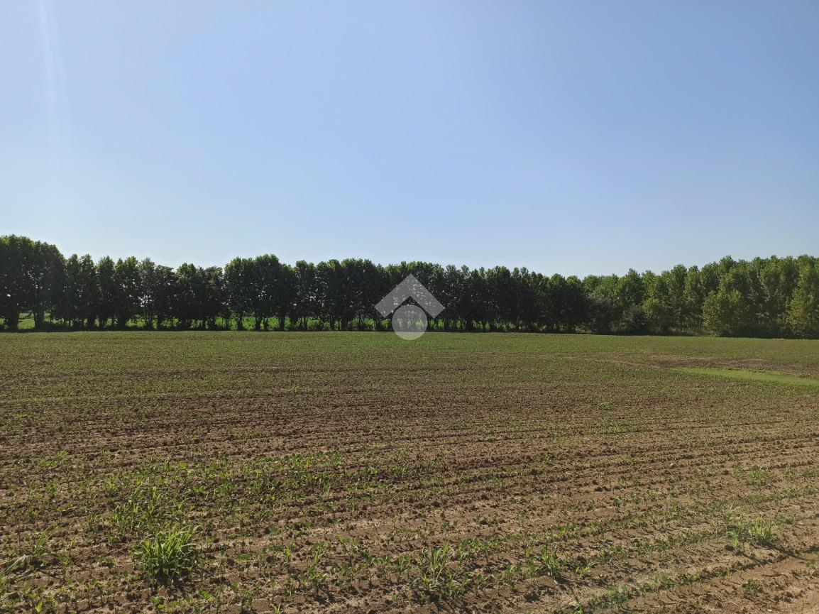 Terreno edificabile in vendita a Cadoneghe
