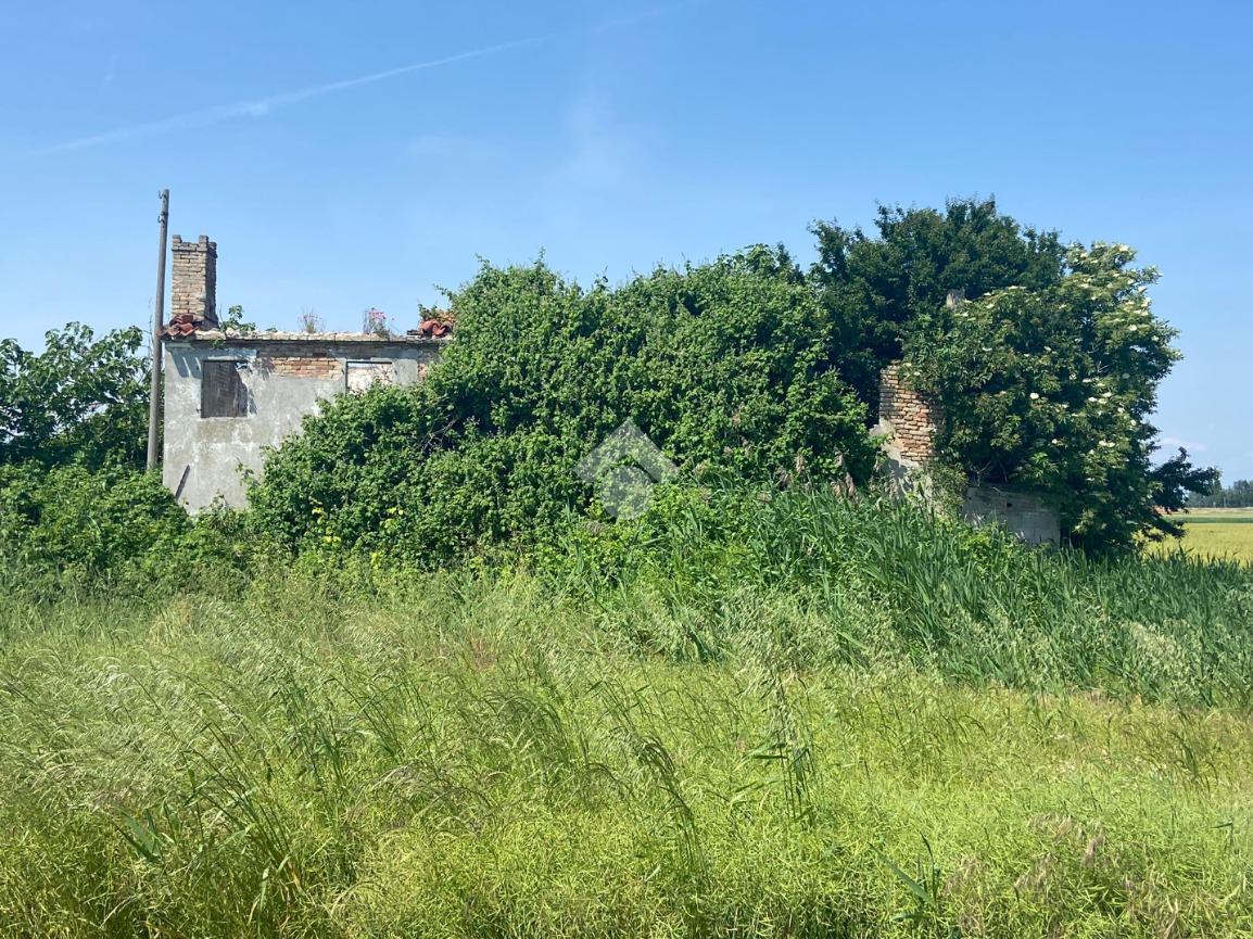 Rustico in vendita a Codevigo