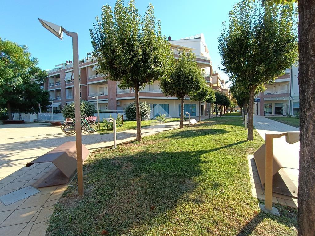 Negozio in vendita a Pineto
