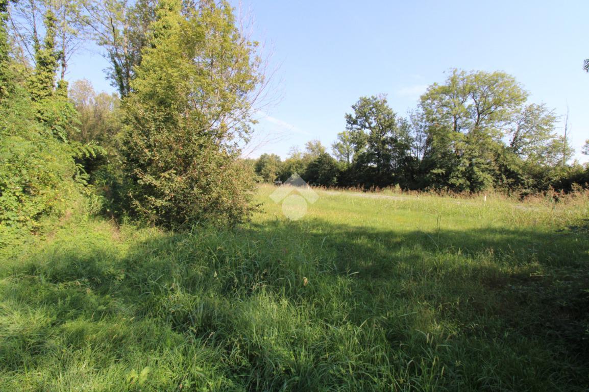 Terreno agricolo in vendita a Caselette