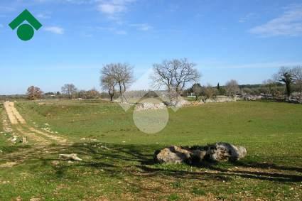 Terreno edificabile in vendita a Santeramo In Colle